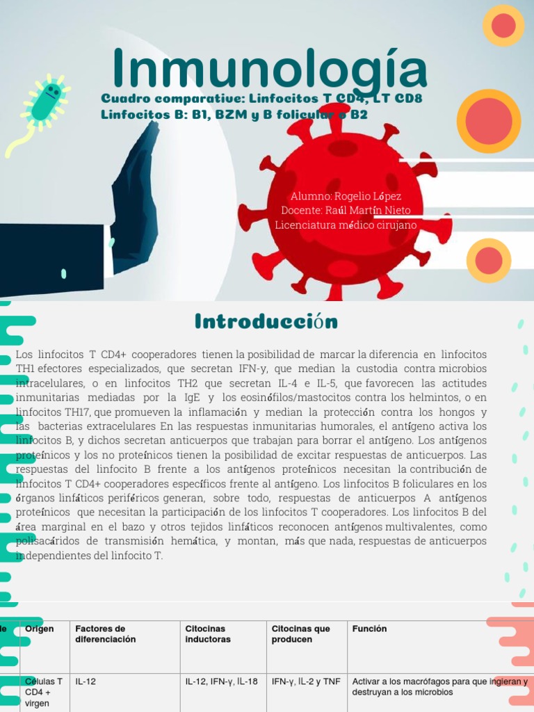 Cuadro Comparativo Linfocitos B y T | Descargar gratis PDF | Linfocitos | Célula T