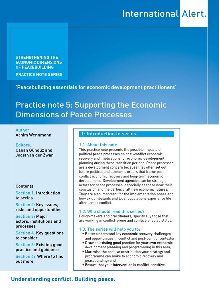Practice Note 5 Economic Dimensions | PDF | Peacebuilding | Aids