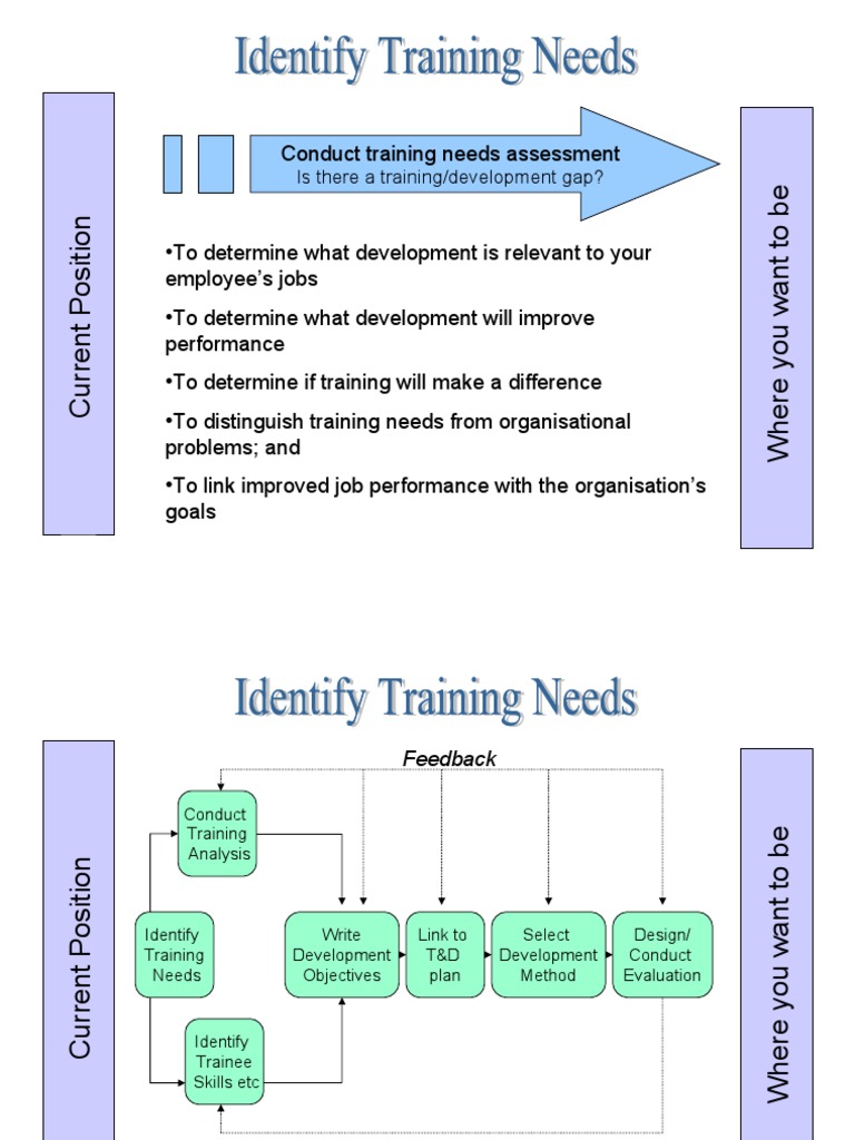 Identifying Training Needs | PDF