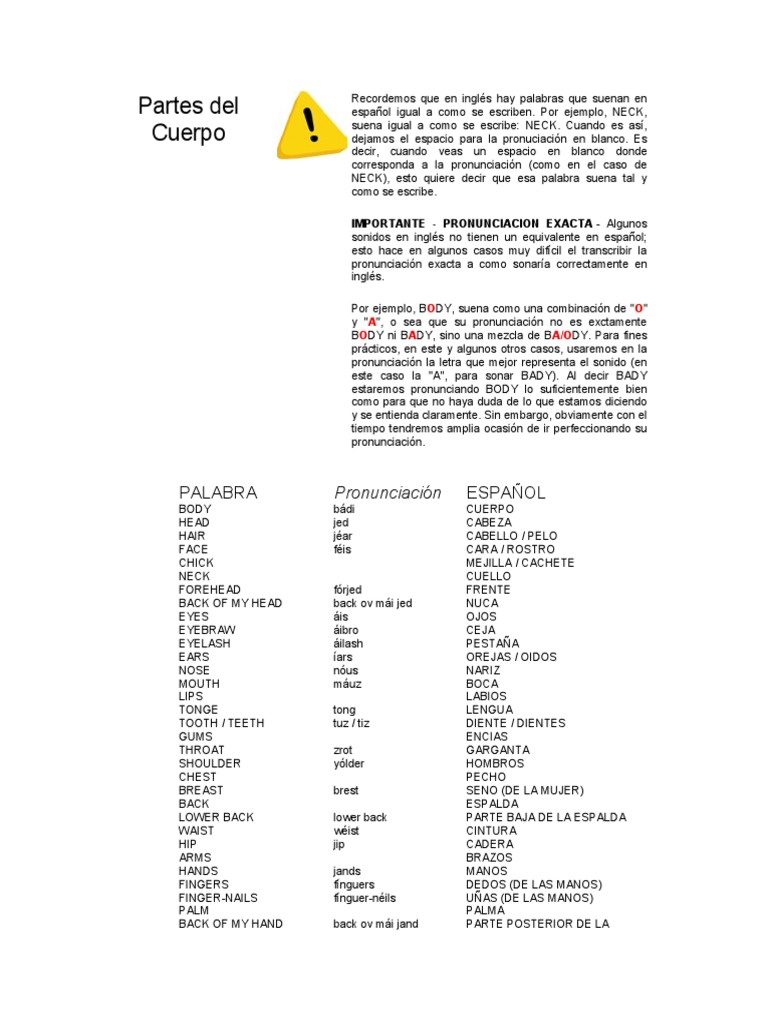 Partes Del Cuerpo Pdf Anatomía Anatomía Humana