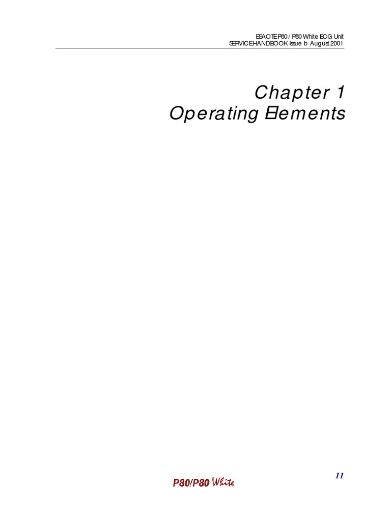 Esaote P80 ECG Unit Service Guide | PDF | Electrocardiography | Visual ...