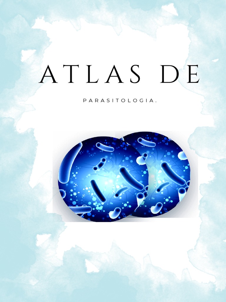 Atlas de Parasitologia | PDF | Mosca | Mosquito