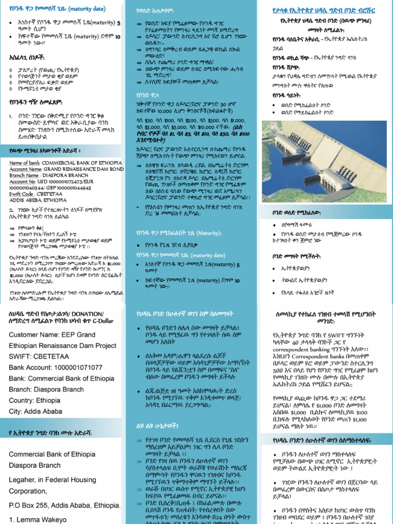 04 Brochures Amharic | PDF