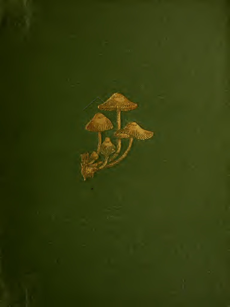 British Fungus Flora Vol 1 | PDF | Fungus | Mycology