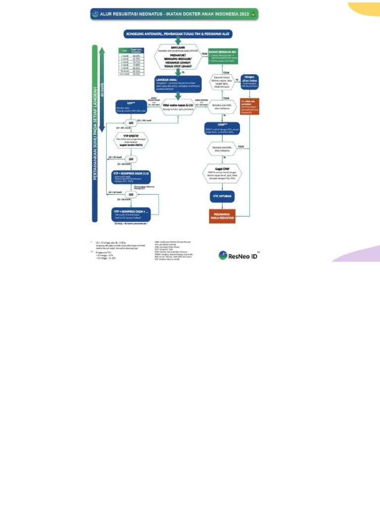 Alogaritma Rhesusitasi | PDF