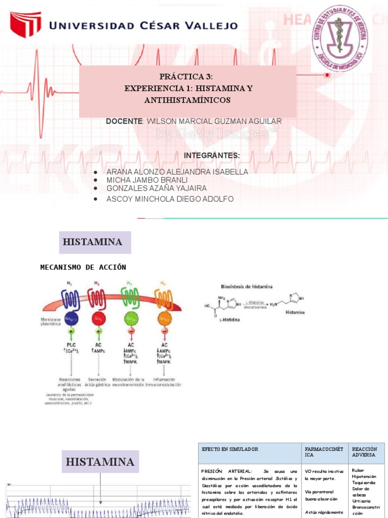 Practica3-Histamina y Antihistaminico | PDF | Norepinefrina | Endotelio