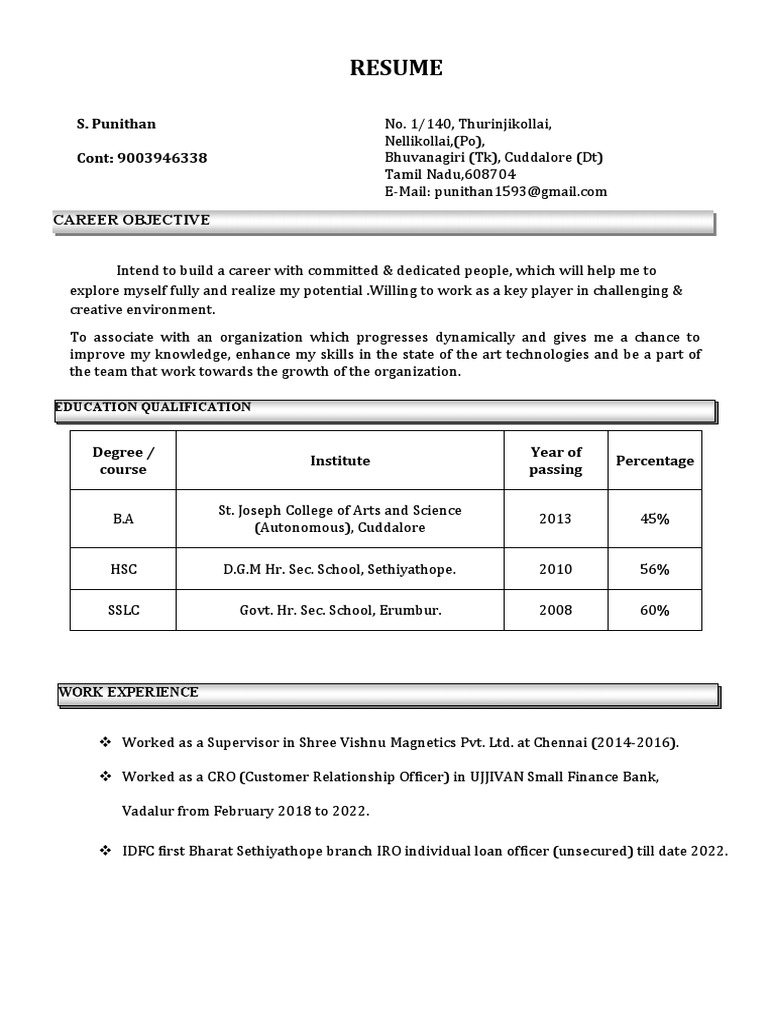 S. Punithan Resume: Career & Skills | PDF