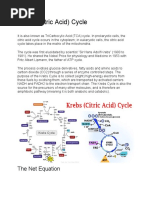 OCR (A) Biology A-Level Module 2 Foundations in Biology Revision - PMT ...