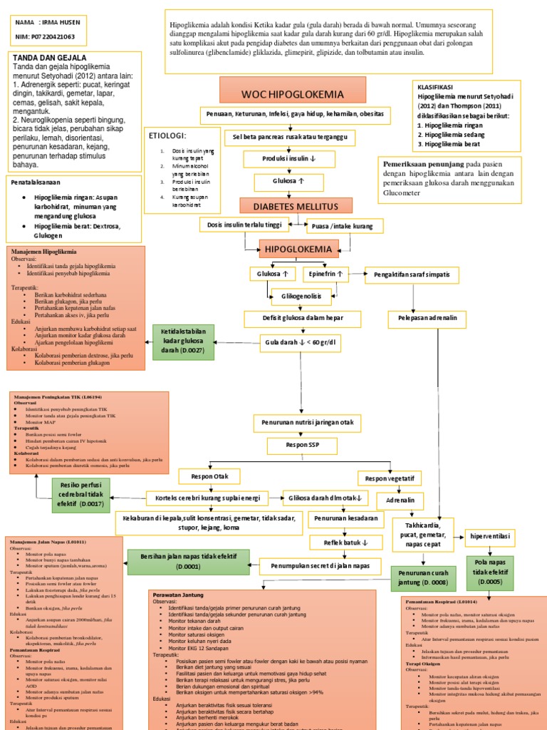 Woc Hipoglikemia, Irma | PDF
