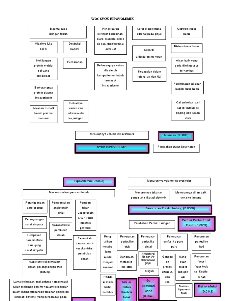 Woc Syok-Hipovolemik | PDF