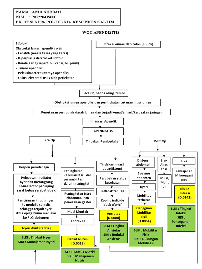 WOC APENDISITIS | PDF