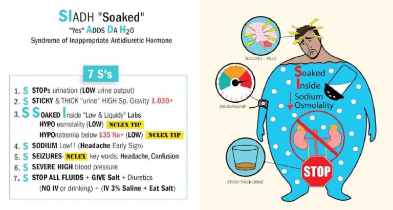 SIADH | PDF