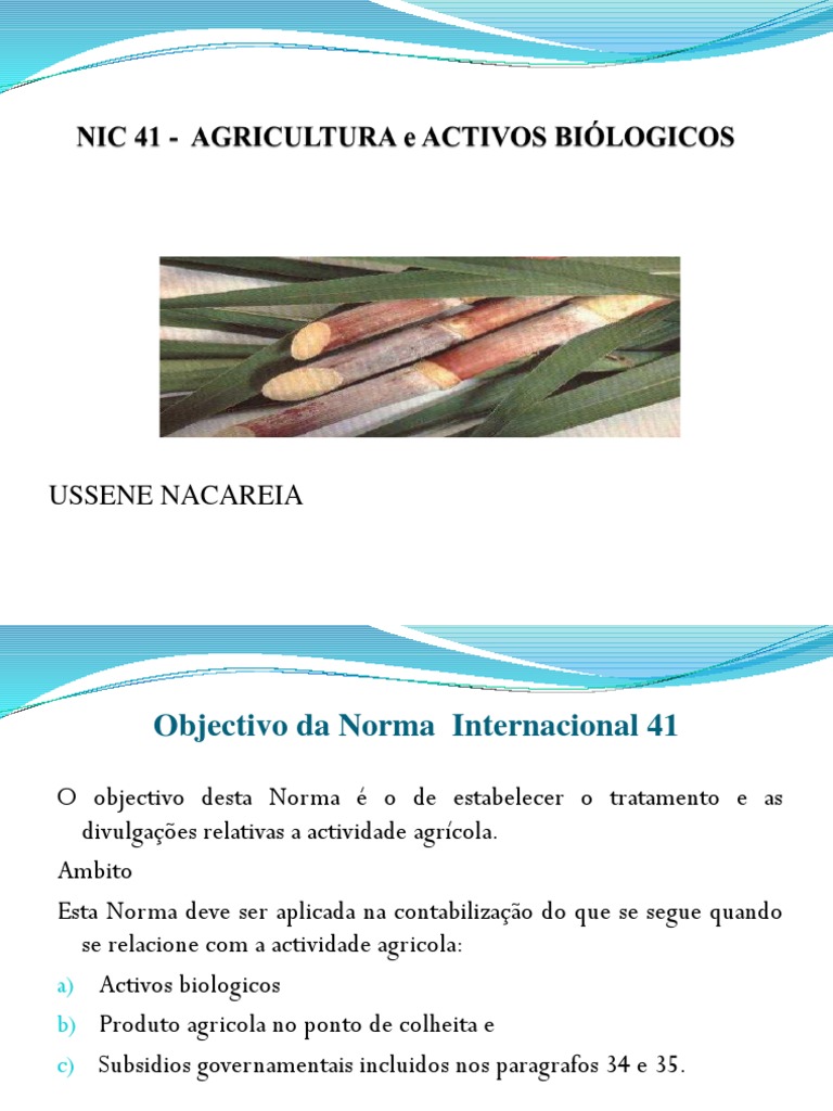Contabilidade Dos Activos Biologicos - NIC 41 | PDF