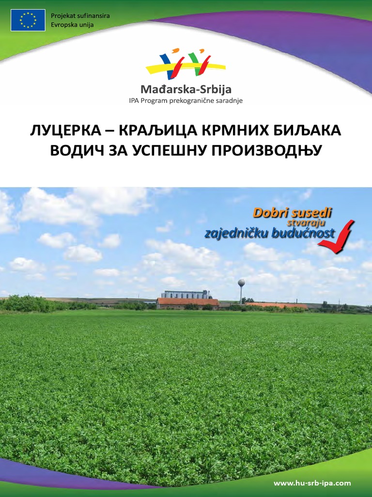 Lucerka - Kraljica Krmnih Biljaka - Vodič Za Uspešnu Proizvodnju | PDF