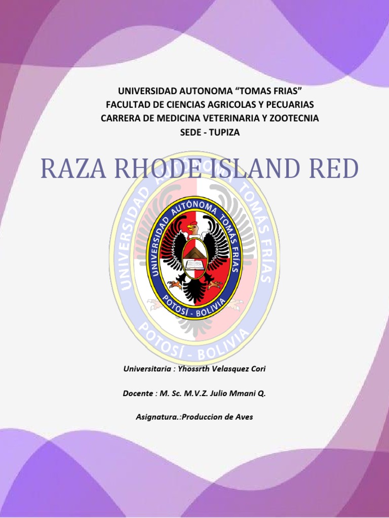 Caracteristicas de La Raza Rhode Islan Red | PDF | Pollo | Aves