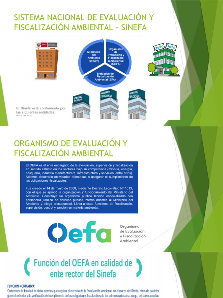 Sinefa - Regimen Comun | PDF | Justicia | Crimen y violencia