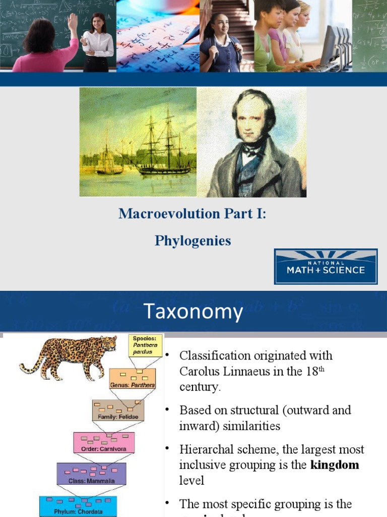 Macroevolution Part I Phylogenies | PDF | Taxonomy (Biology ...