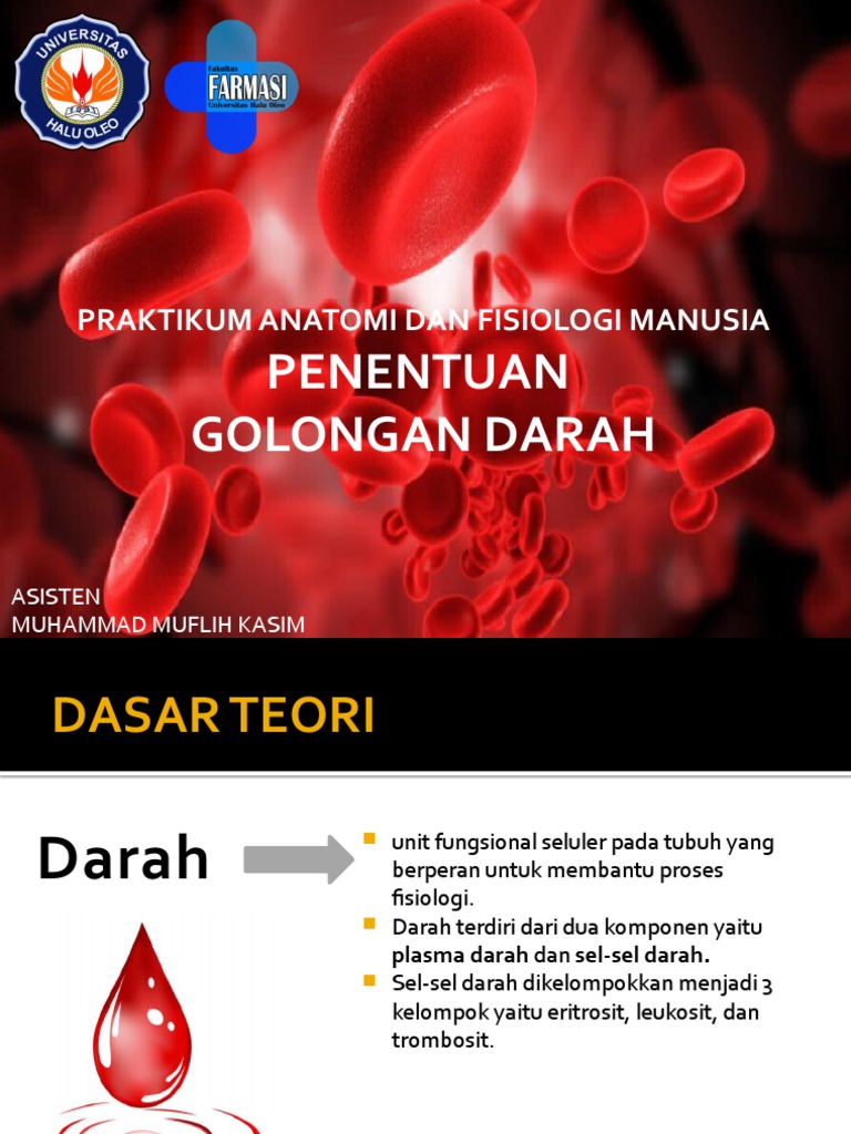 Penentuan Golongan Darah | PDF