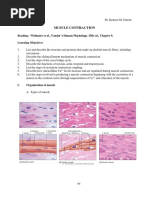 Connective Tissue Lecture 1 | PDF | Connective Tissue | Tissue (Biology)