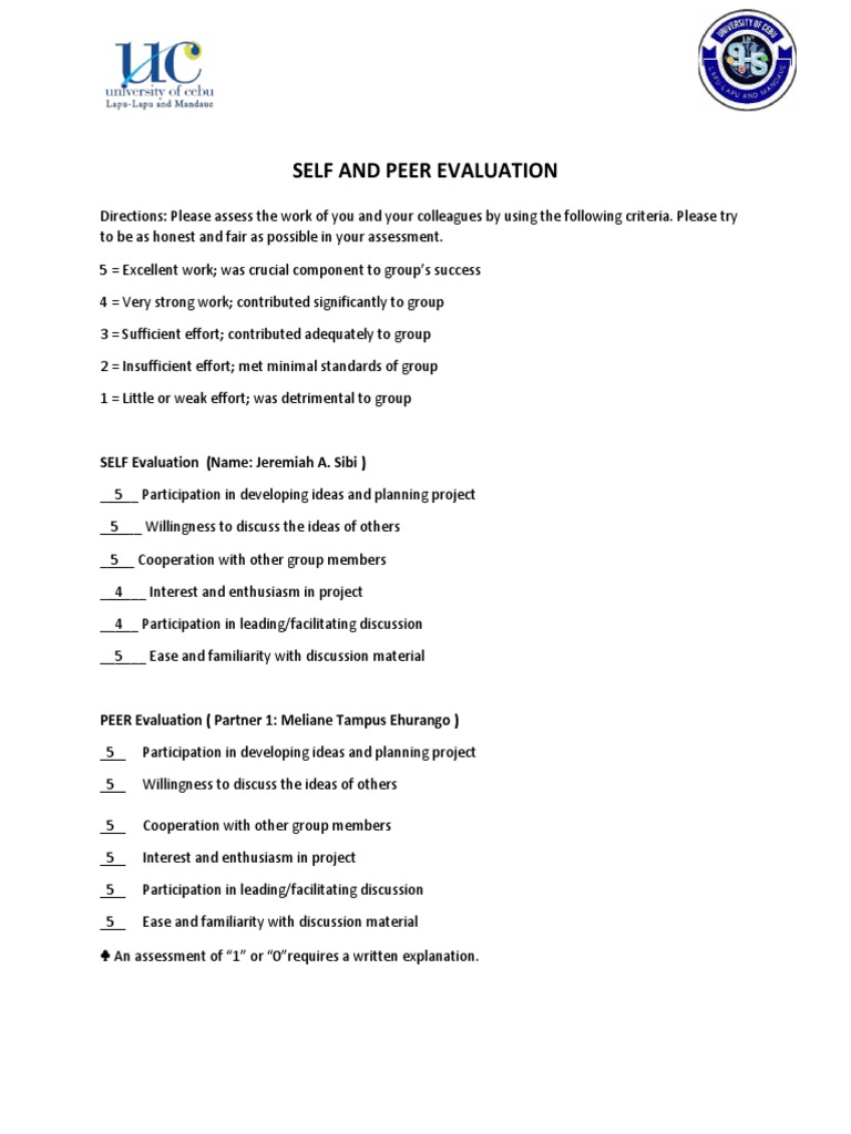 PEER AND SELF-EVALUATION | PDF | Cognition | Psychology