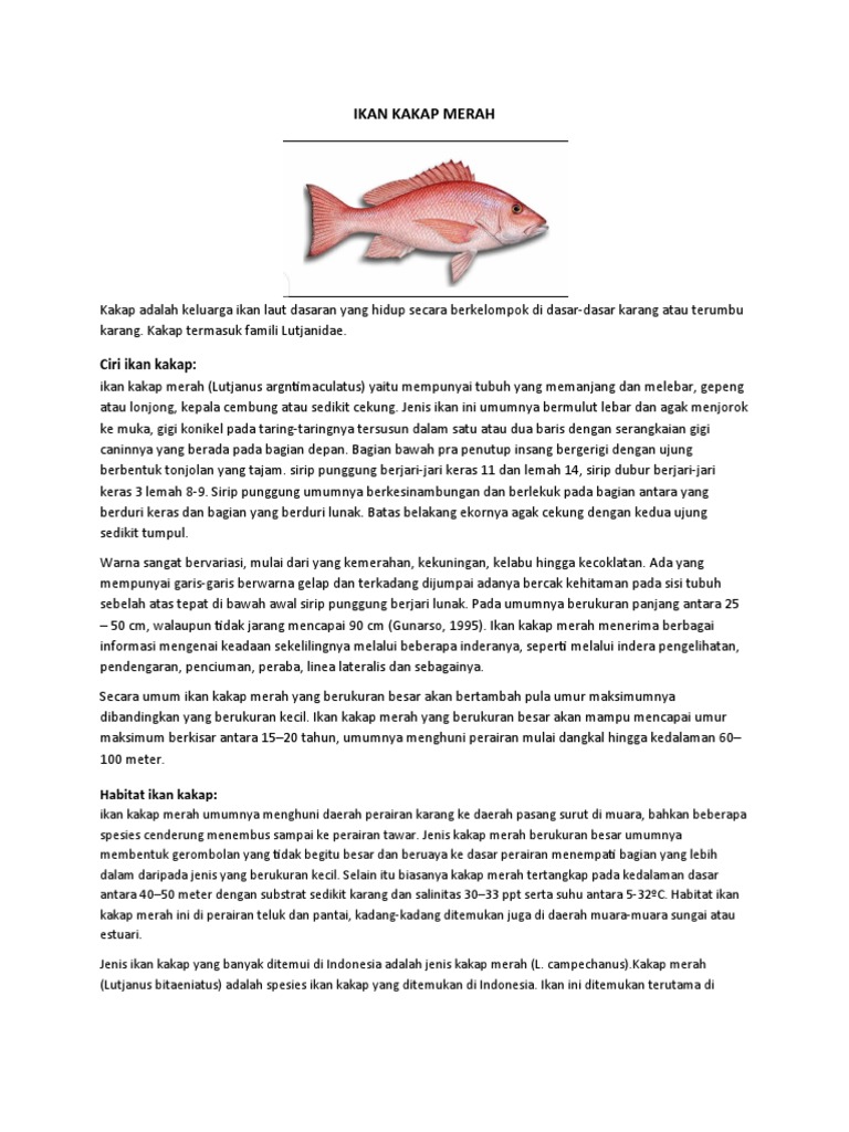 Ikan Kakap Merah: Ciri, Habitat, dan Resep Asam Pedas | PDF | Memasak ...