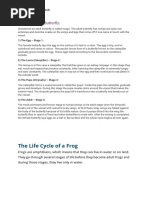 Lizard Life Cycle | PDF