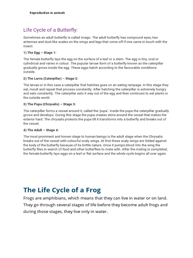 Life Cycle of A Butterfly & Frog (AutoRecovered) | PDF | Butterfly | Pupa