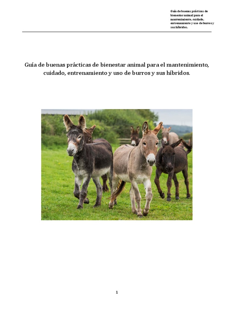 Spanish Donkey Guide | PDF | Burro