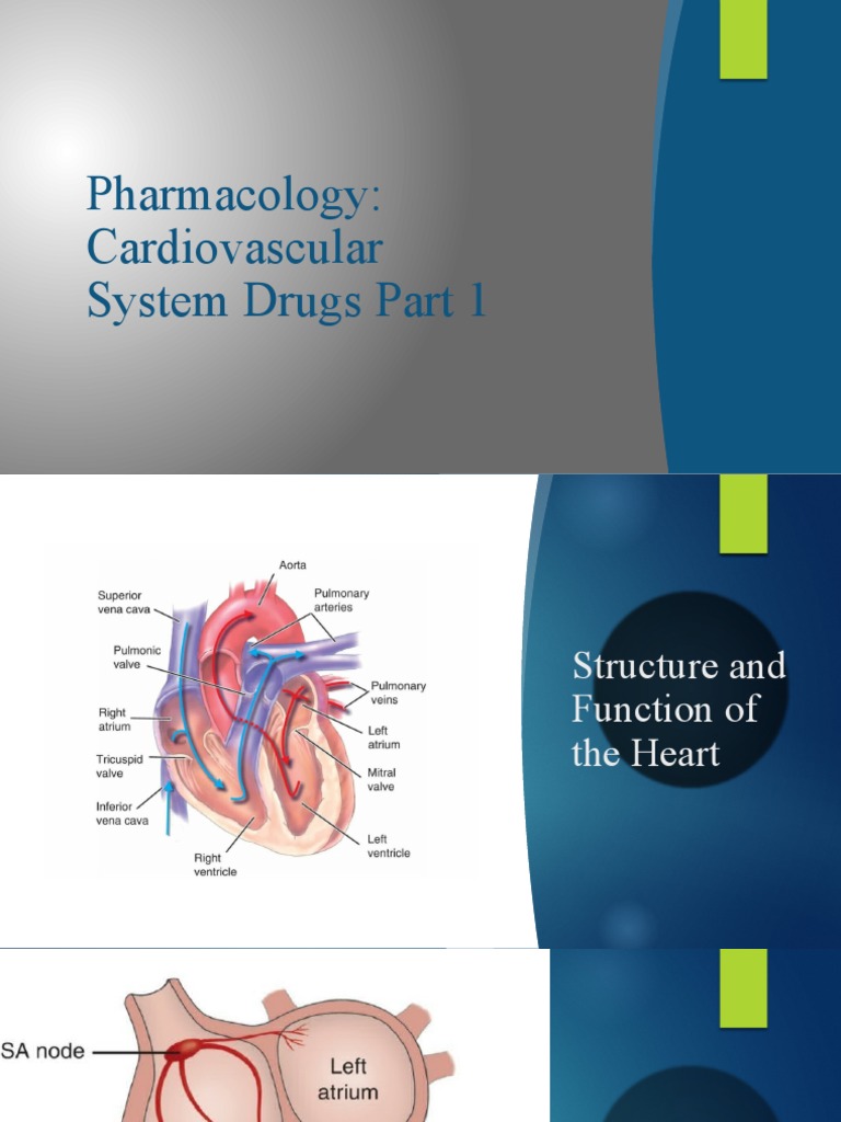 Cardiovascular Pharmacology Overview | PDF | Heart | Cardiology