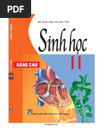 SGK Sinh 12 Kết Nối Tri Thức | PDF
