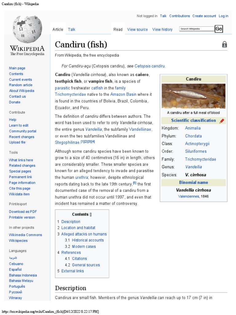 Candiru Fish Wikipedia | PDF
