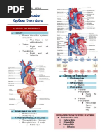 Neuro Vital Signs Assessment Procedure and Checklist | PDF | Senses | Foot