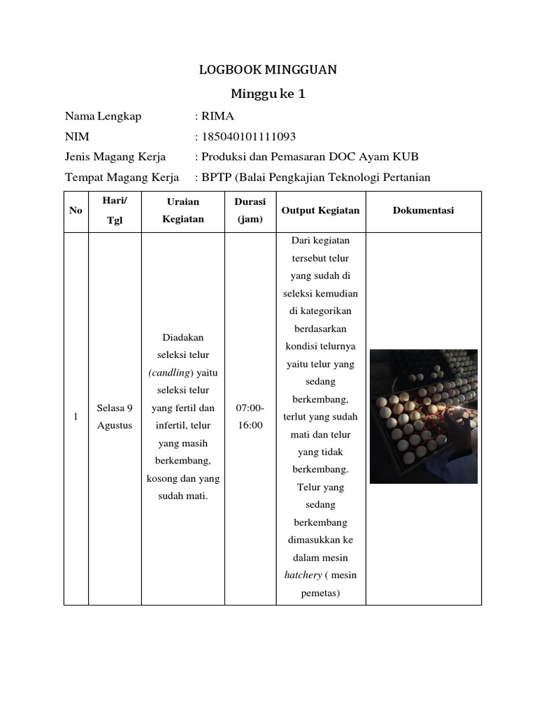 Logbook Magang | PDF