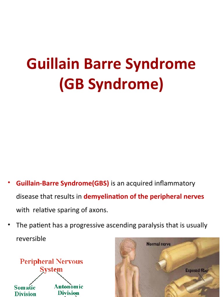Overview of Guillain-Barré Syndrome | PDF | Myelin | Clinical Medicine