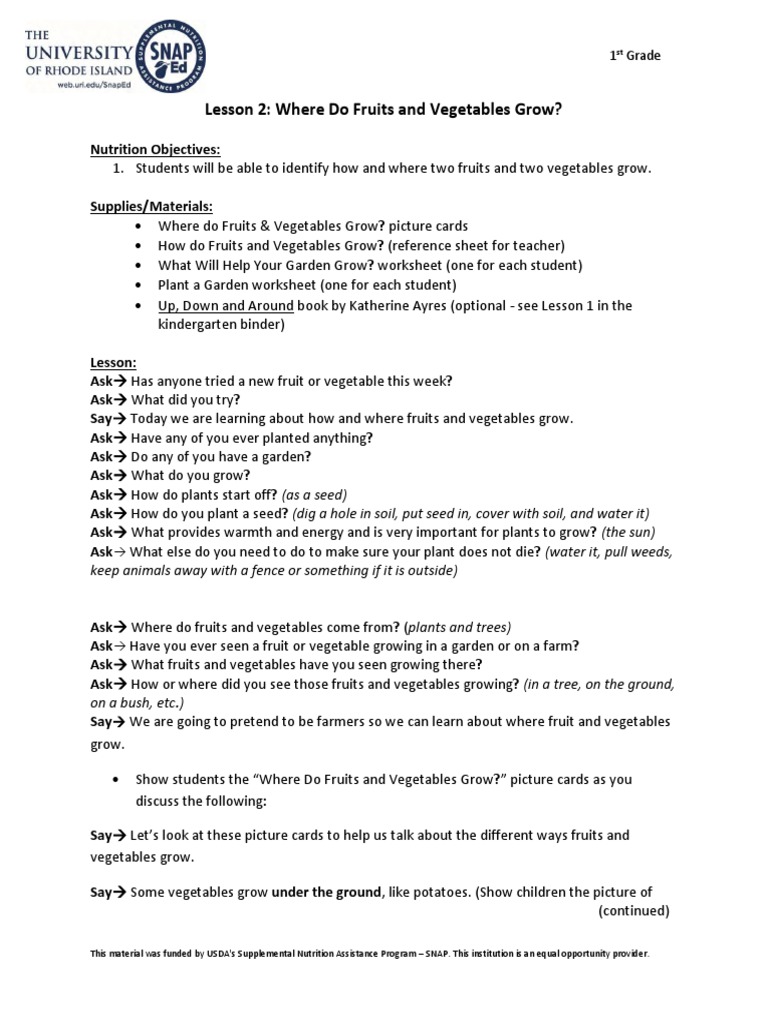 1st Grade Lesson 2 Lesson Plan | PDF | Vegetables | Fruit