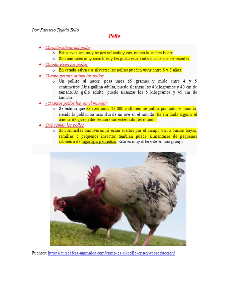 Pollo | PDF
