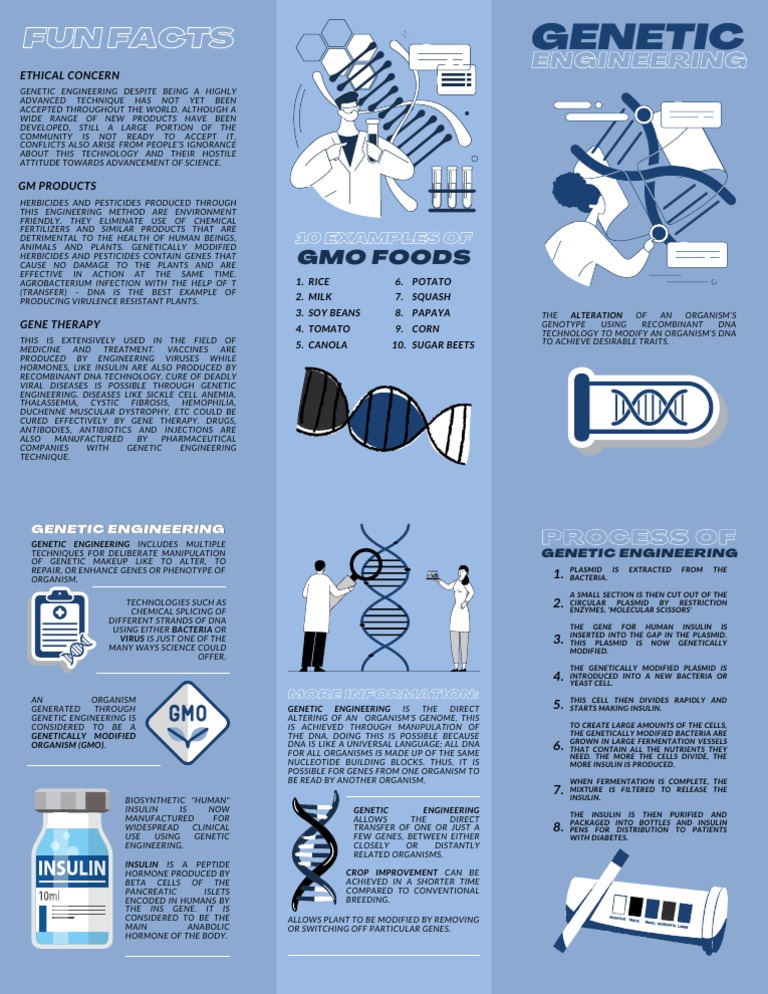Genetic Engineering | PDF | Genetic Engineering | Plasmid
