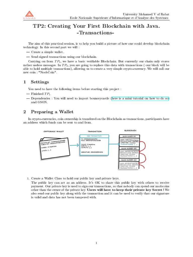 TP2 BlockChain Transactions | PDF | Bitcoin | Computer Programming