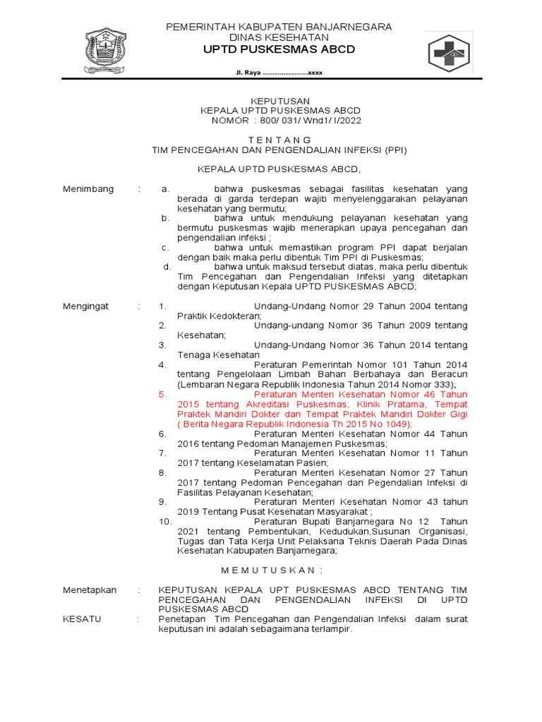 SK Tim PPI | PDF | Pengembangan Diri | Kesehatan Holistik