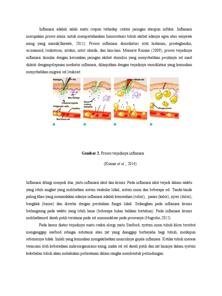Mekanisme Inflamasi (Aurora, Riska, Nurul, Aldira, Sinur) | PDF | Sains & Matematika