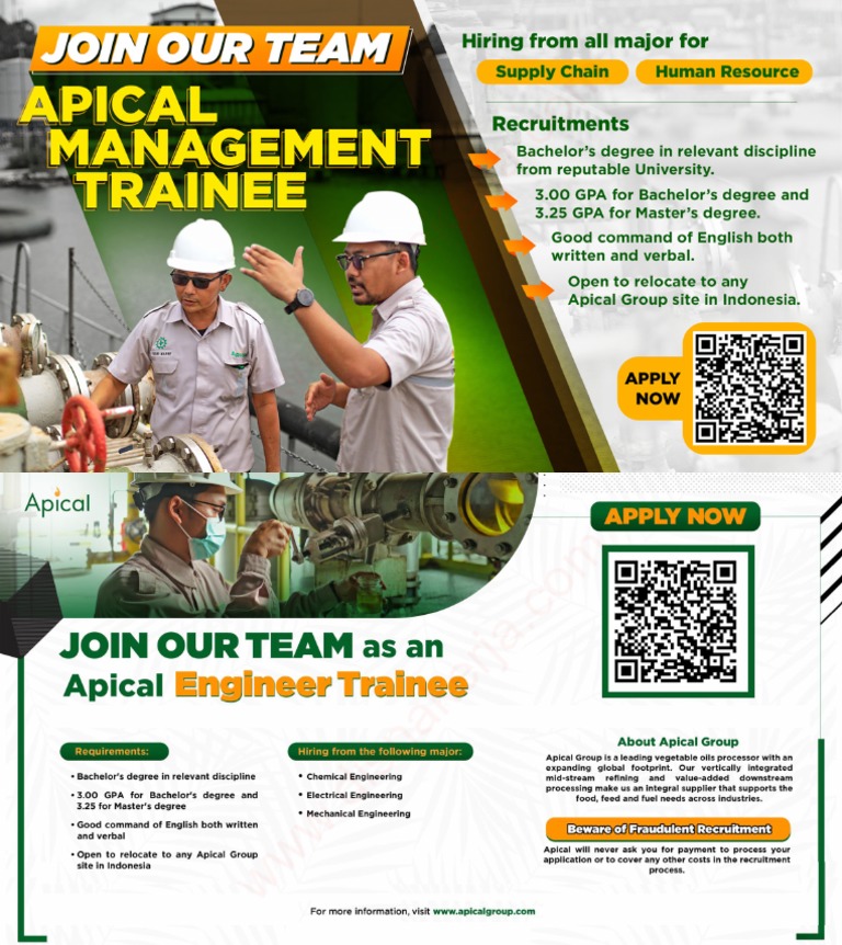 Apical Group LTD MT | PDF