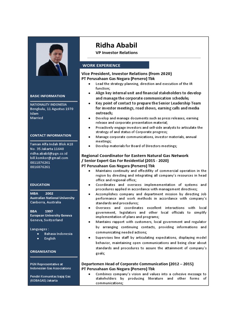 CV Ridha Ababil English | PDF | Communication | Strategic Communication