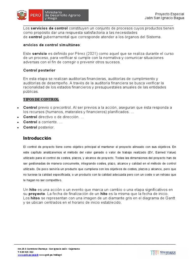 Definicion Hitos de Control | PDF