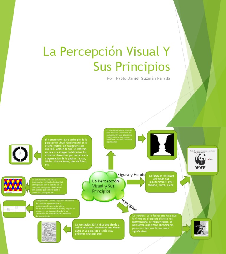 La Percepción Visual Y Sus Principios | PDF