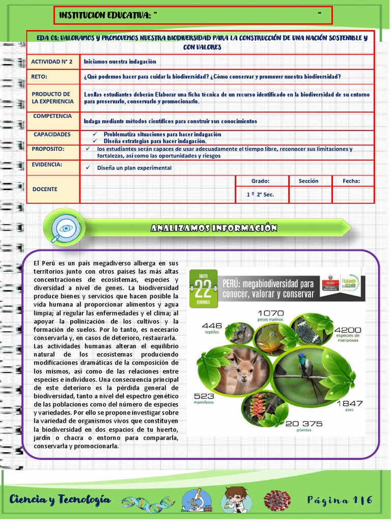 Ficha de Actvidad Semana 2 - 1° y 2° Cyt | PDF | Biodiversidad | Ecosistema