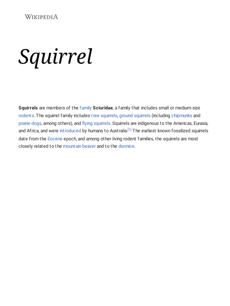 Meet the Squirrel | PDF | Squirrel | Rodent