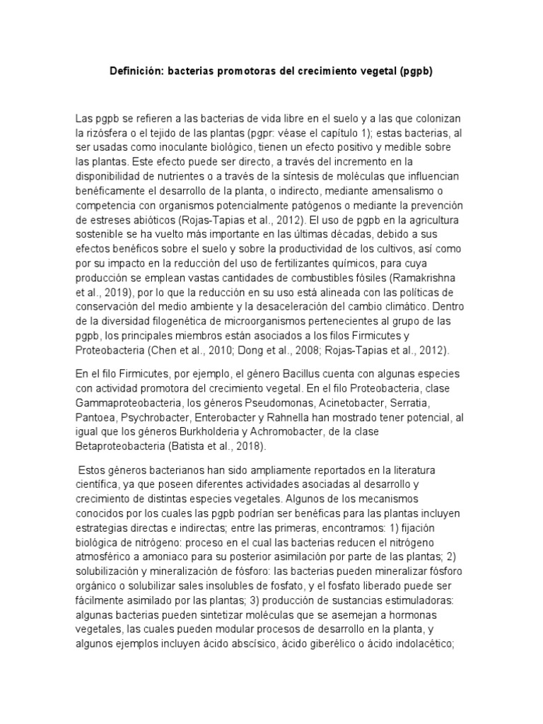 Bacterias Promotoras del Crecimiento Vegetal | PDF | Las bacterias | Bacilo