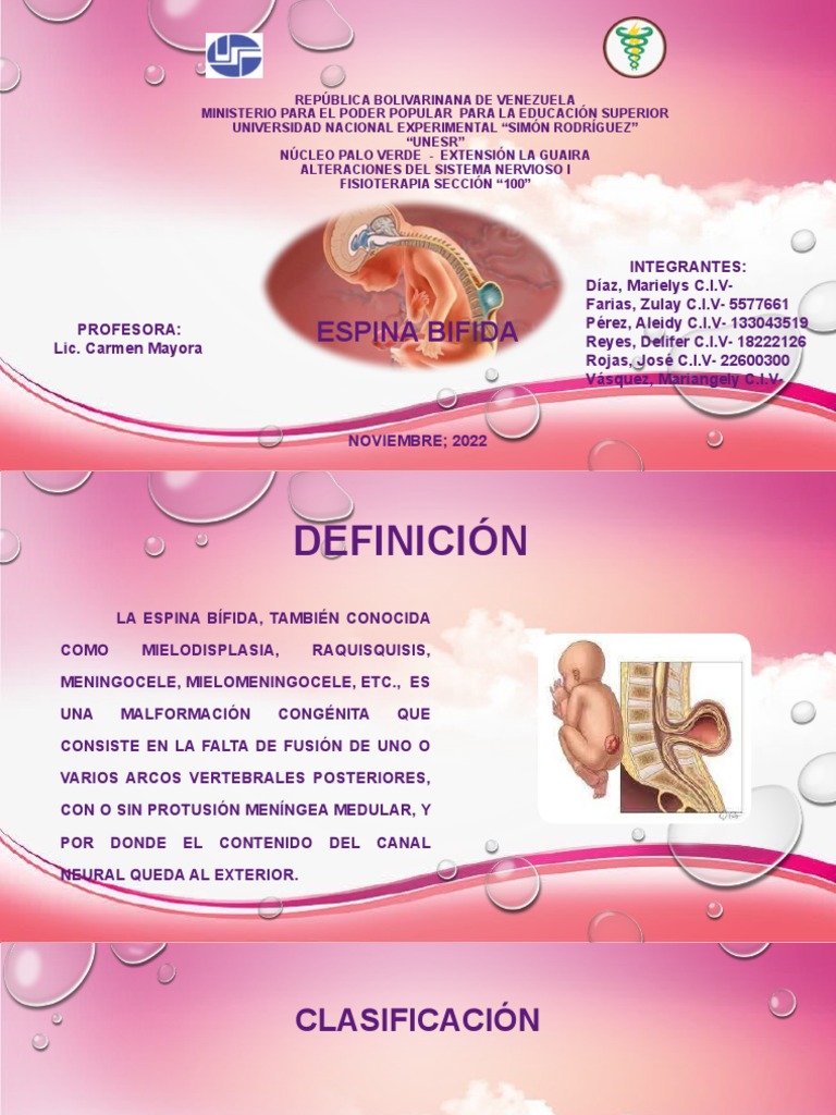 Espina Bífida: Causas y Tratamiento | PDF | Enfermedades y trastornos ...