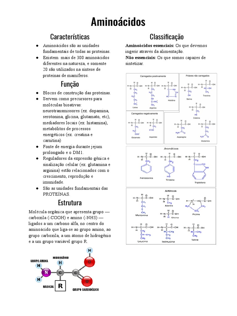 Aminoacidos e Proteinas Resumo Gaby | PDF | Proteínas | Aminoácido
