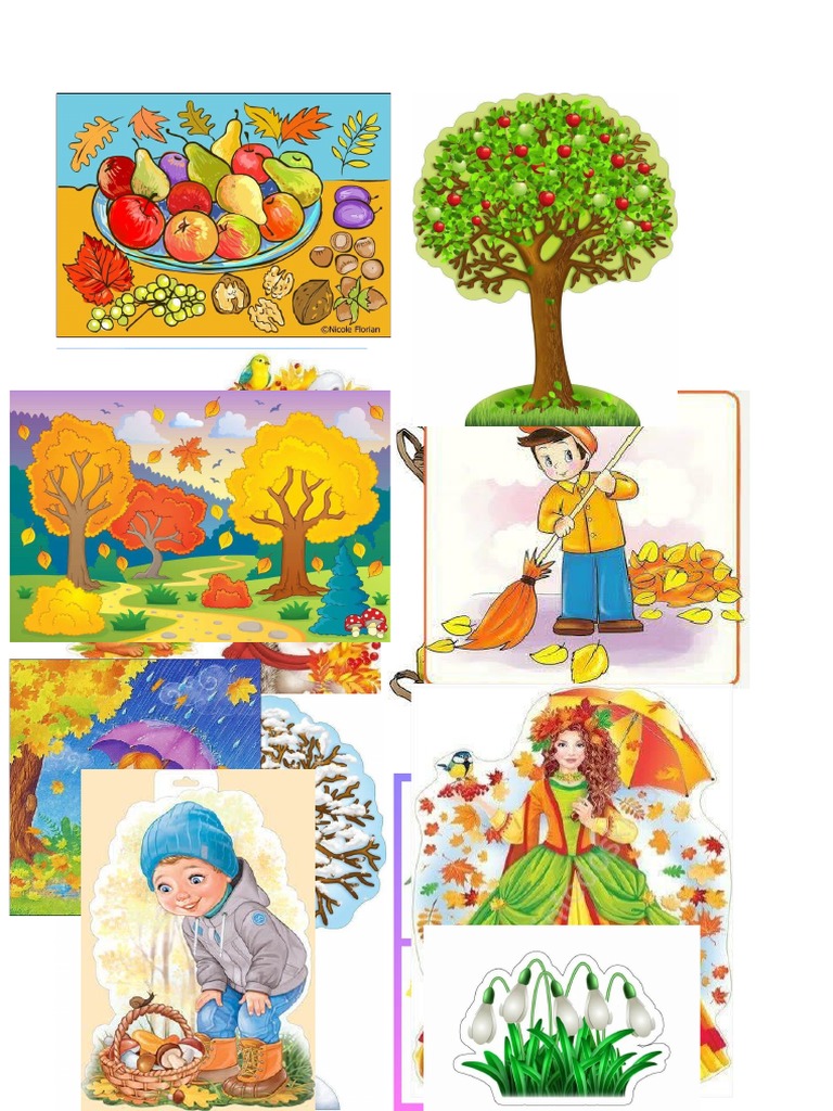 Caracteristicile Toamnei | PDF